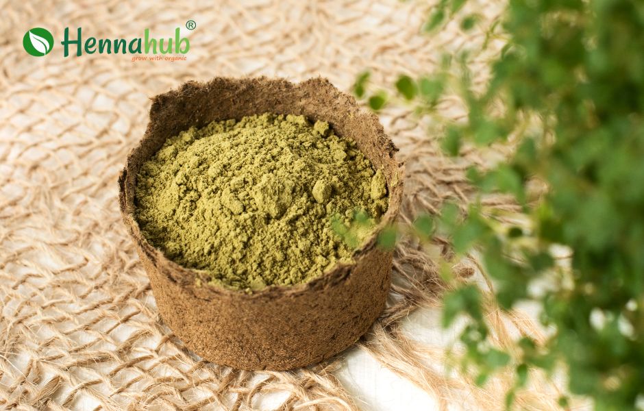 What is exactly Baq Henna Powder ? – hennahubstore